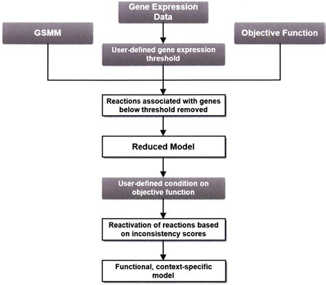 Figure 3 From Integration Of Metabolic Modelling With Machine Learning