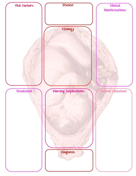 OB Note Taking Template Nursing Assessment Nursing Etsy