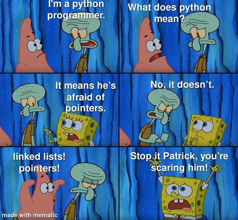 Sorry Python Users R ProgrammerHumor