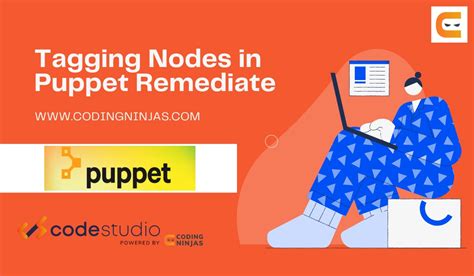 Tagging Nodes In Puppet Remediate Naukri Code