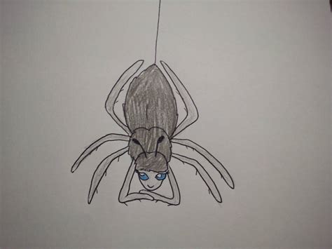 Charlotte A Cavatica By Lelanbkeeton Fur Affinity Dot Net