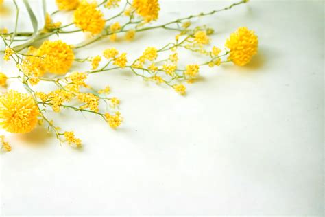 Avon Perceive Sunshine - recenzja - Słodka Paczula