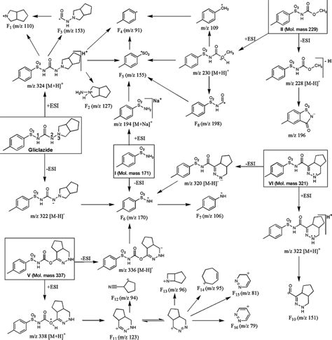 Proposed Mass Fragmentation Patterns Of Gliclazide I Ii V And Vi Download Scientific Diagram