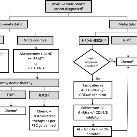 Suggested Algorithm For The Management Of Male Breast Cancer ¹staging