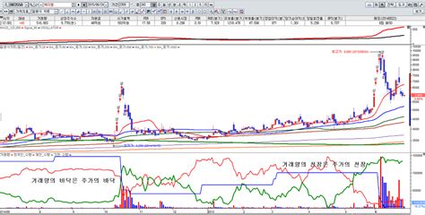 박스이론에서 주가의 상승과 하락의 의미 거래량의 중요성