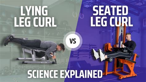 Seated Leg Curl Vs Hamstring Curl At Cecil Messer Blog