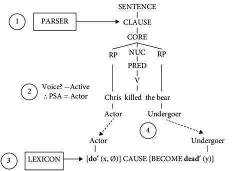 Linking From Syntax To Semantics In A Simple English Clause Download