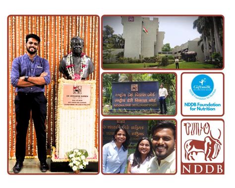 Hemanth Krishna R On Linkedin Internship Milk Impact Tmilk