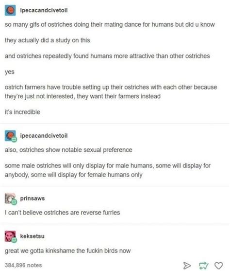 Reverse Furries Rtumblr