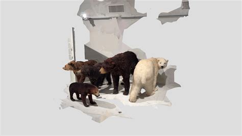 Scan 2022 12 09t192607338z Download Free 3d Model By Visual