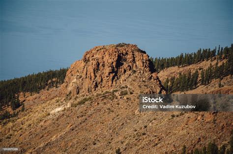 높은 산의 경사면에 바다와 산 숲에 파노라마 보기 소나무 위의 푸른 하늘 트레킹 테네리페 카나리아 제도 스페인에 소요된 아름다운 날 경관에 대한 스톡 사진 및 기타 이미지