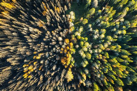울창한 녹색 숲 한가운데있는 폭포 사진 Unsplash의 카우아이 이미지