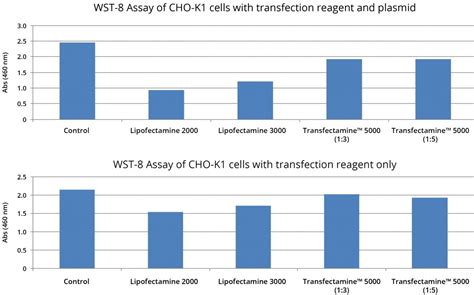 Transfectamine™ 5000 Transfection Reagent Aat Bioquest