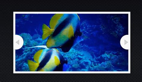 jquery tutorials jquery techniques jquery training