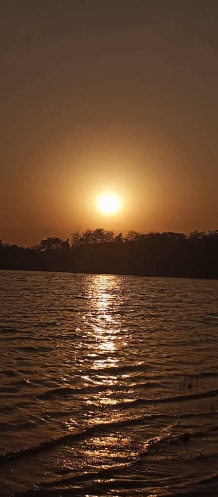 Precious Oluwatoba Medium