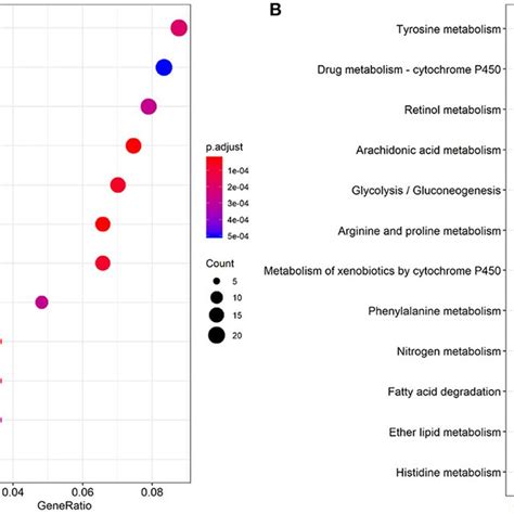 Results Of Go Function A And Kegg Pathway Enrichment Analyses B