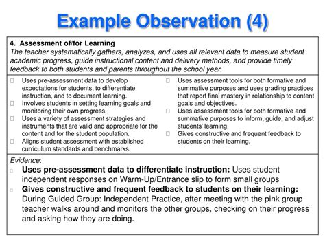 Examples Of Student Observations At Fannie Mcdowell Blog