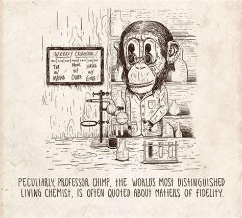 Fallacies Argument Debate