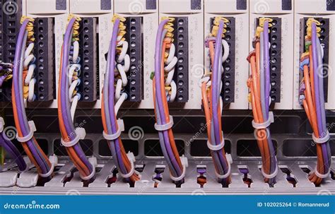 Network Cables Connected To Switch Close Up Of Data Center Hardware Multi Colored Wires Stock