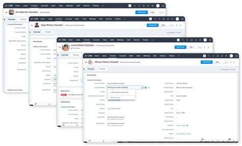 Using Zoho Sheet View