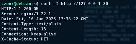 How To Use Nginx As Caching Server Knowakdev
