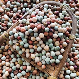 鸽子粮批发10斤豌豆饲料豆类鸽豌豆混合豌豆花豌豆高蛋白信鸽饲料 阿里巴巴