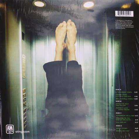 Any Sting Fans Rvinyljerk