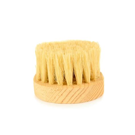 Cepillo Redondo Bgp Mayoreototal