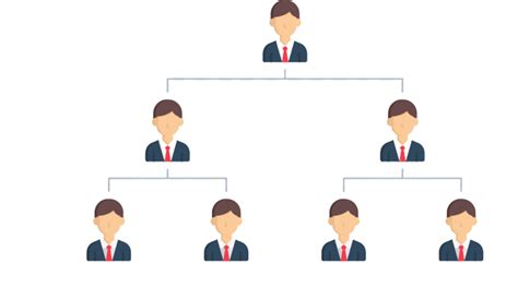 Binary Mlm Software Mlm Software Development Company In Delhi Mlm Software Demo