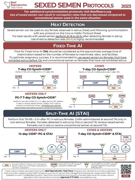 Beef Synchronization Protocols Abs Global Usa