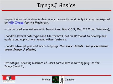 pdf imagej basics biop homepage basics pdf · imagej basics open