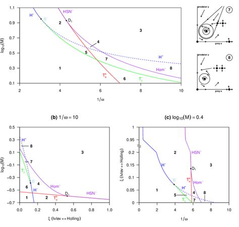Predator Prey Model Two Dimensional Slices Of Figure 2 In The Area Download Scientific Diagram
