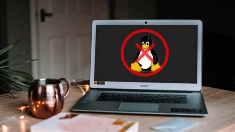 how to remove linux from your chromebook