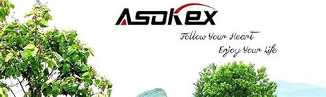 Amazon Com L2 R2 Ps4 Trigger Extenders 2 Pairs L2 R2 Triggers 4pcs Joystick Cap 2 Pairs LED