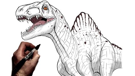 How To Draw Spinoraptor Step By Step Jurassic World Youtube