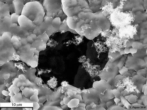 Cordierite Pore 2 At 25 Mgl Particle Load Face Velocity 24 Cms At Download Scientific