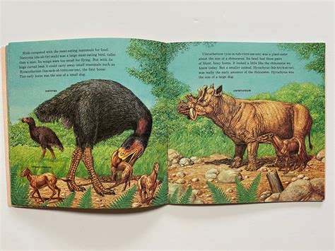 1978 Prehistoric Animals Book By Peter Zallinger A Please Read To Me