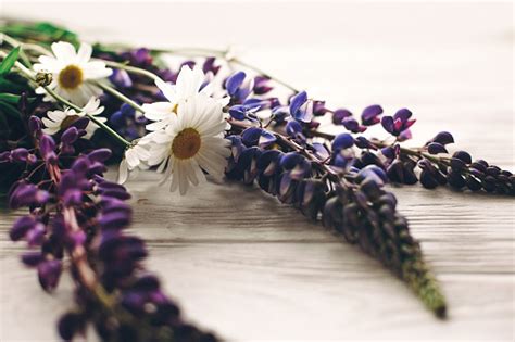 빛 텍스트에 대 한 공간에에서 소박한 흰색 나무 배경에 빛에 사랑 스러운 르 피나 스와 카모마일 꽃다발 보라색 야생화 최고 볼 수 있습니다 꽃 인사말 카드입니다 봄