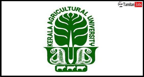 Kau Recruitment 2023 Released Apply 17 Assistant Professor Posts