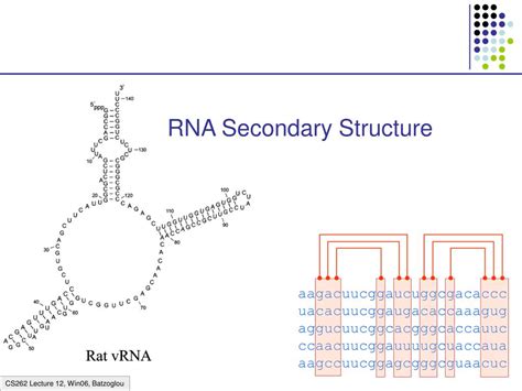 Ppt Efficient Rna Secondary Structure Prediction Using The Cyk