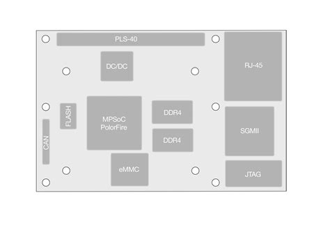 Polarberry Fpgarisc Platform