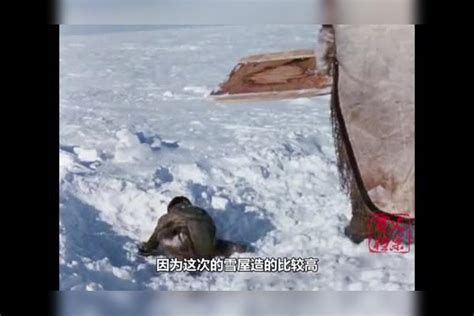 零下70度的北极因纽特人如何过年晚上他们又会做什么 因纽特人 北极 什么
