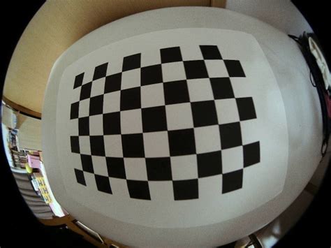 Diyer Python で魚眼レンズの歪み補正