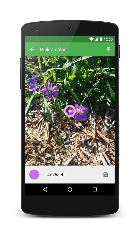 Cordova Get Colour Of Particular Pixel From Live Camera Preview