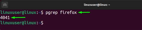 How To Kill Processes In Ubuntu Dracula Servers Tutorials