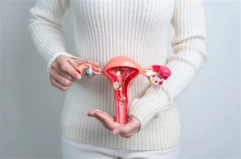 Ini Berbagai Fungsi Rahim Dalam Sistem Reproduksi Wanita