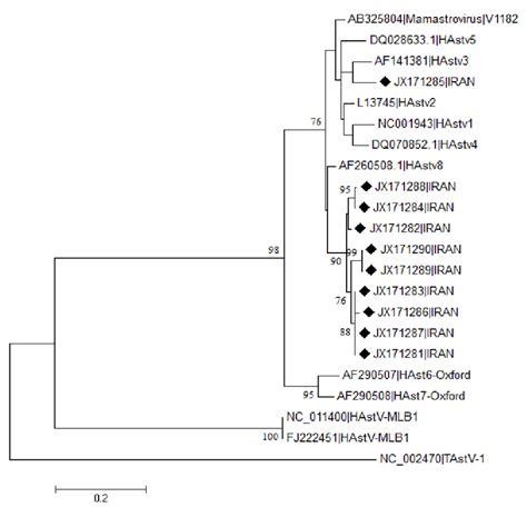 Phylogenetic Relationship Of Human Astroviruses Detected In Ahvaz And