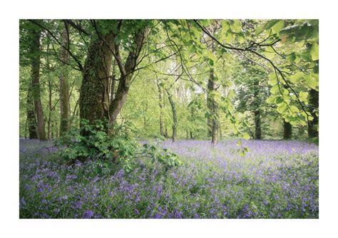 L A N H Y D R O C K B L U E S L A N H Y D R O C K Flickr