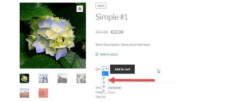 WooCommerce Change Add To Cart Quantity Into A Select Drop Down