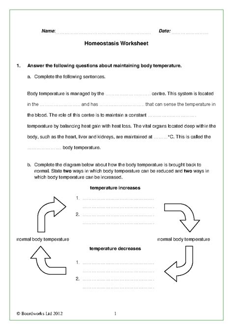 Homeostasis Worksheet Name
